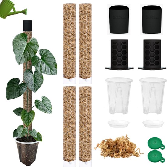 PlantScraper Mosstok Deluxe Pakket - 4 Mosstokken - 300 gram Spagnum ...