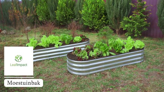 2-Pack Moestuinbak – 180 x 60 x 30 cm - Kweekbak Metaal – Kweektafel ...