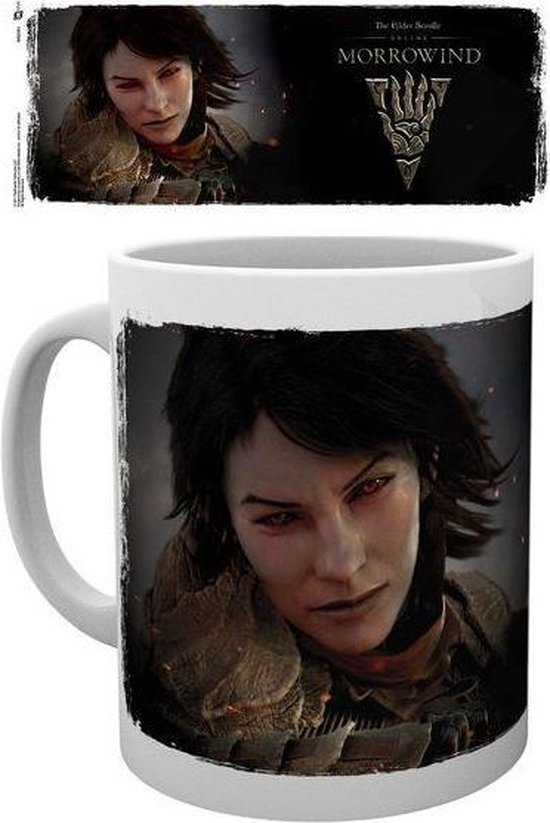 The Elder Scrolls Elder Scrolls Online Morrowind Naru Mok | bol