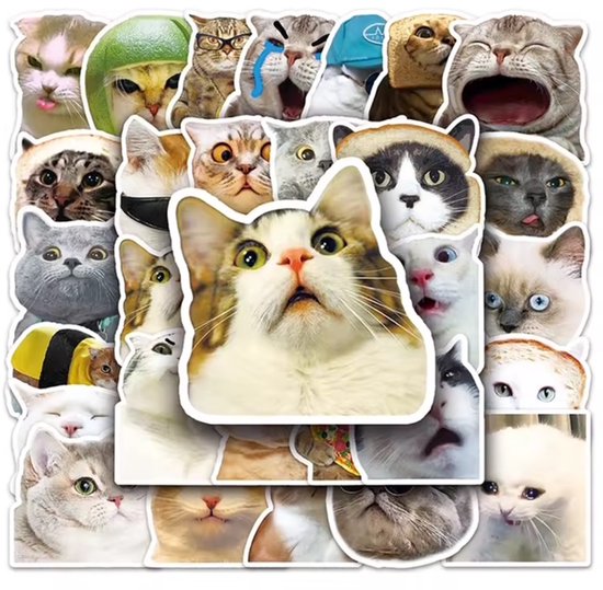 Grappige Katten Stickers - Set van 50 Stuks - Cats - Kat - Funny ...