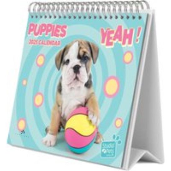 Bureau Kalender 2025 - Bureaukalender 2025 Staand - Bureau Kalender ...