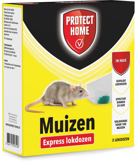 Beste muizengif: Hardnekkige muizenplaag? Dit heb je nodig!