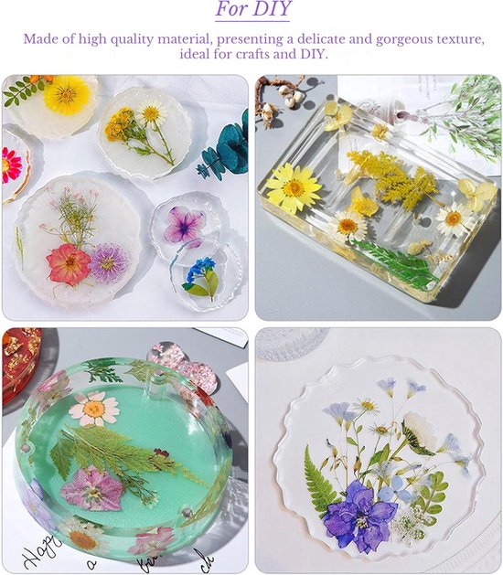 Bloemen voor Hars 5 Zakken 100 Stuks Geperste Bloemen 5 Kleurenthema's ...