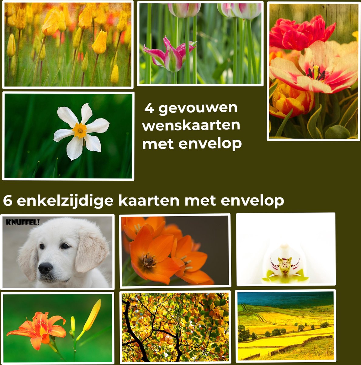 set blanco wenskaarten 10 stuks | bol.com