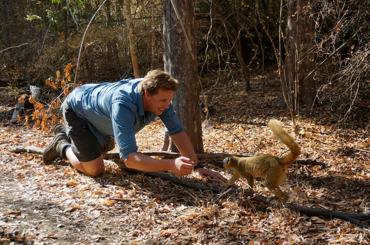 Freeks Wilde Wereld 7 (DVD) (Dvd), Freek Vonk | Dvd's | bol.com