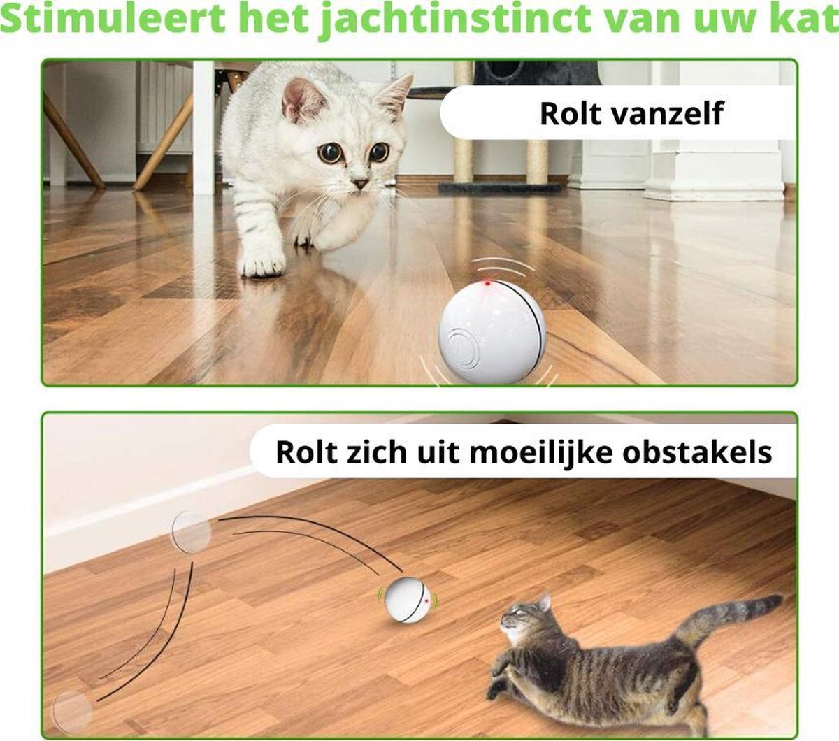 JIMMAR Zelf Rollende Bal - Magic Roller Ball - Katten Speelgoed ...
