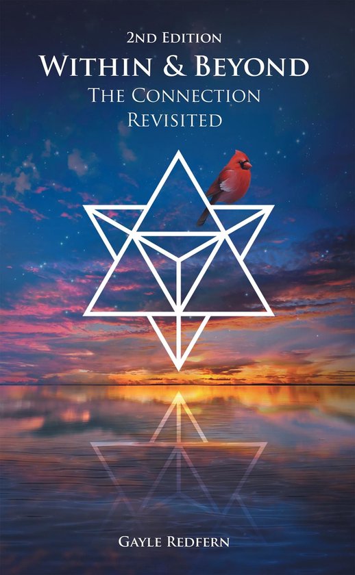 Within and Beyond (ebook), Gayle Redfern | 9781643458519 | Boeken | bol.com