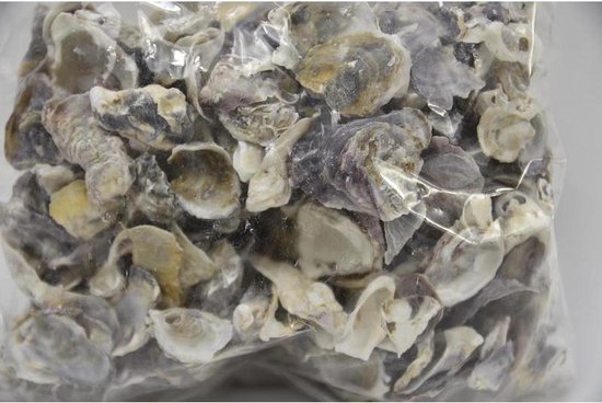 Schelpen - Shell Oyster Talaba 1kg | bol