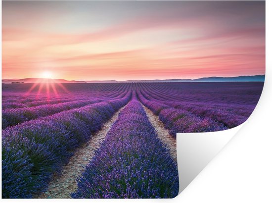 Muurstickers - Sticker Folie - Lavendel - Paars - Bloemen - 160x120 cm ...