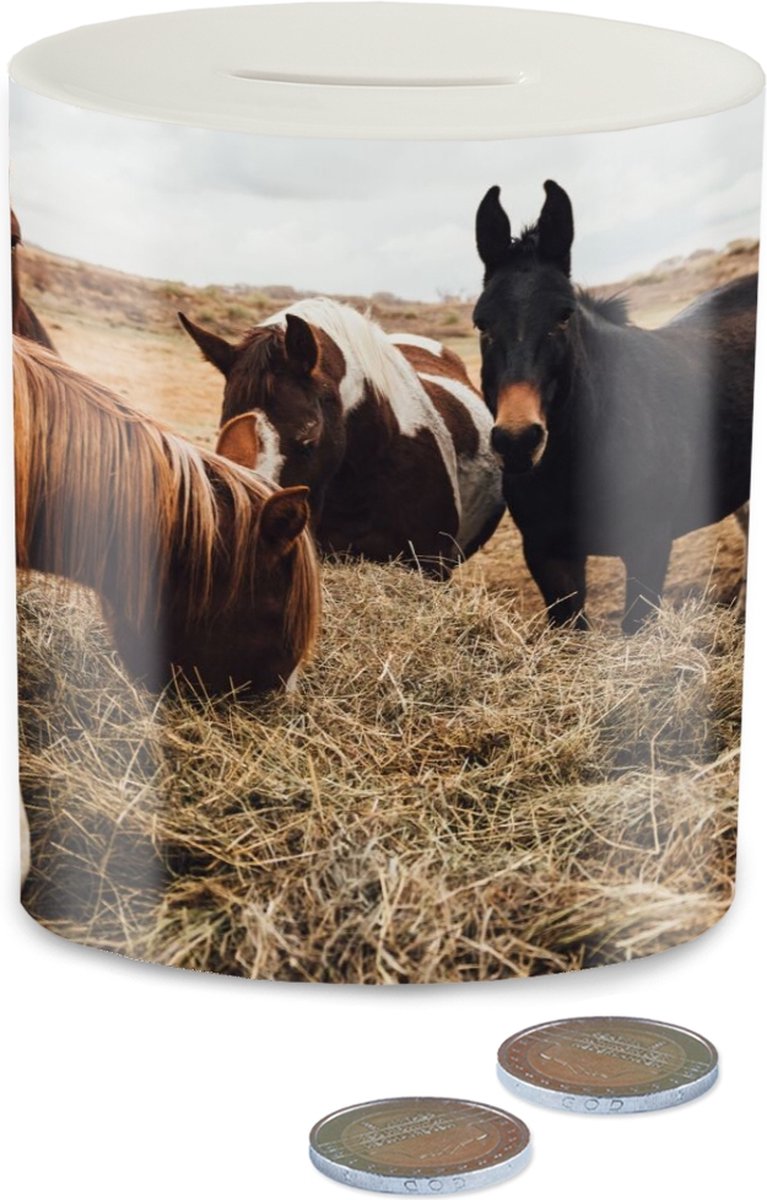 Spaarpot - Spaarblik - Dieren - Paard - Paarden - Spaarpotten ...