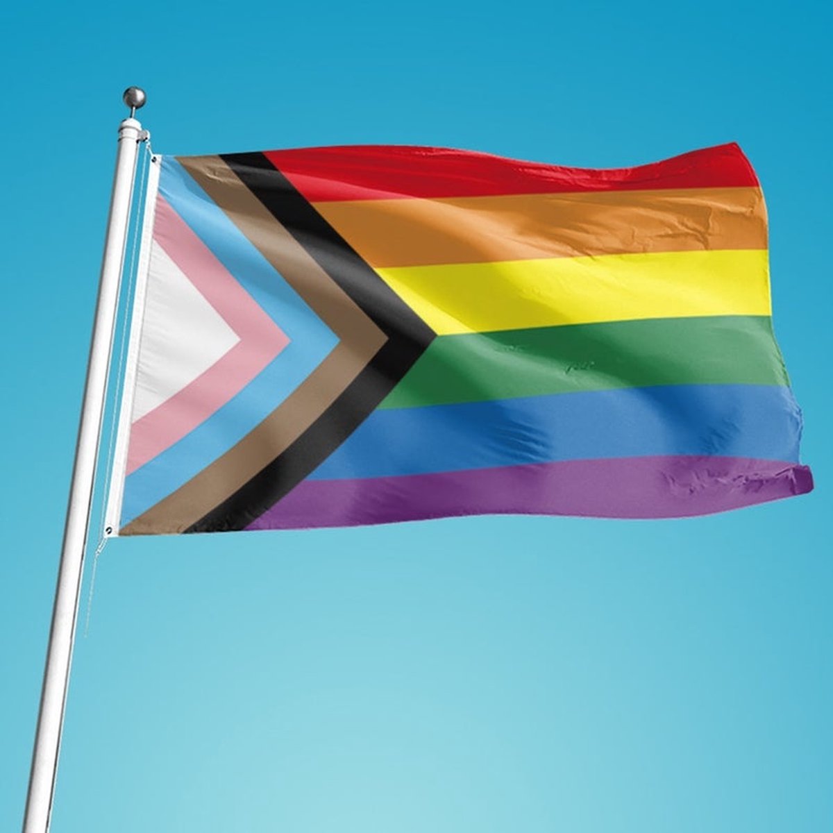 Regenboog Progress Vlag LGBT | bol.com