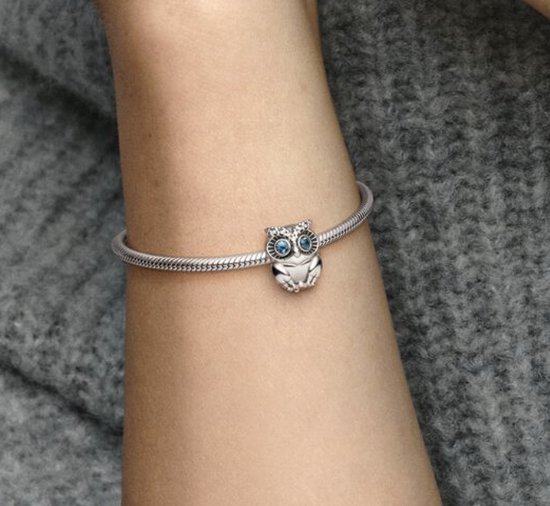 Zilveren Bedels | Uil | 925 Sterling Zilver | Zirkonia | past op ...