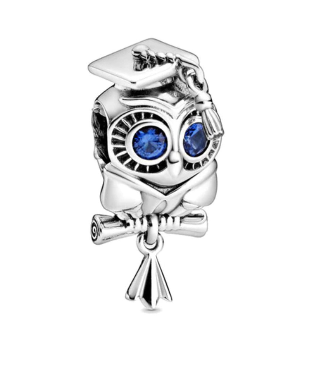 Zilveren Bedels | Graduation Owl | Afgestudeerd | Afstuderen cadeautje ...