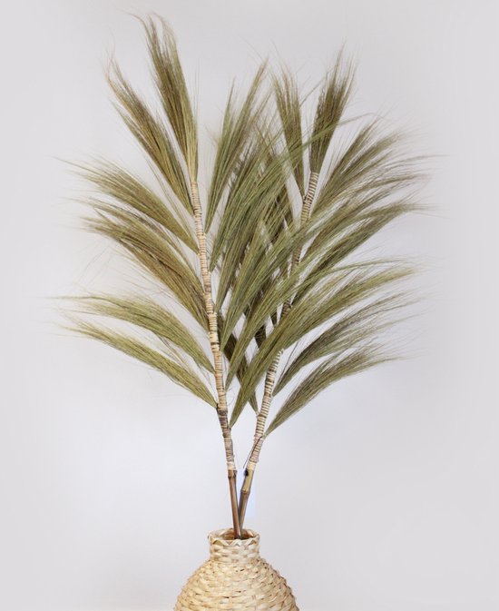 Rayung Gras Pluimen Naturel - Decoratieve Pluimen - 1.6m - Handgemaakt ...