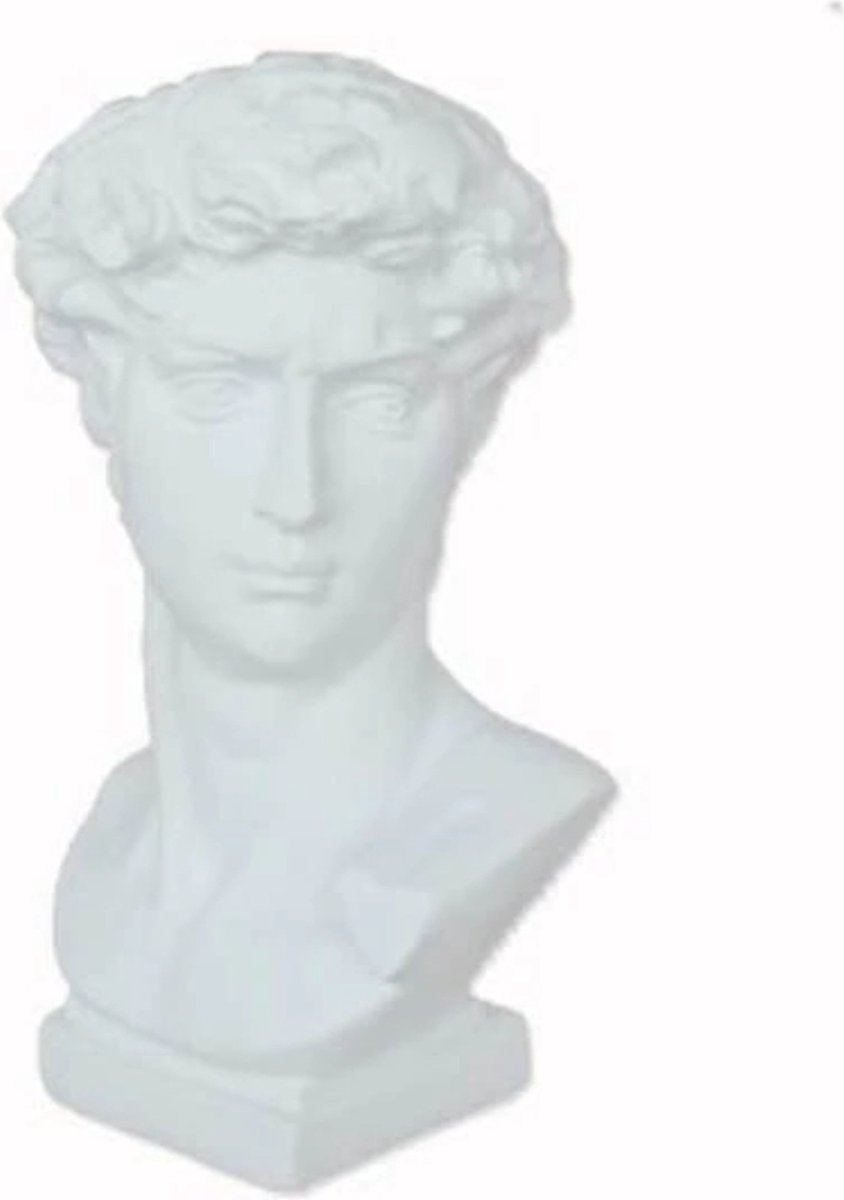 David standbeeld – David hoofd – Luxe vaas – Pennenhouder ...