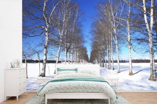 Behang - Fotobehang Een besneeuwde weg met ruwe berken - Breedte 450 cm ...