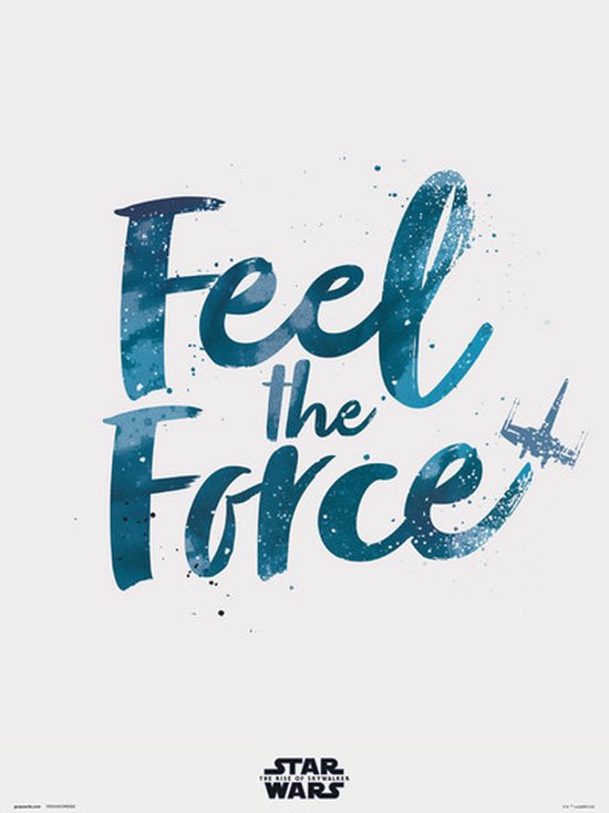 Star Wars Feel the Force - Art Print Poster 30x40cm | bol