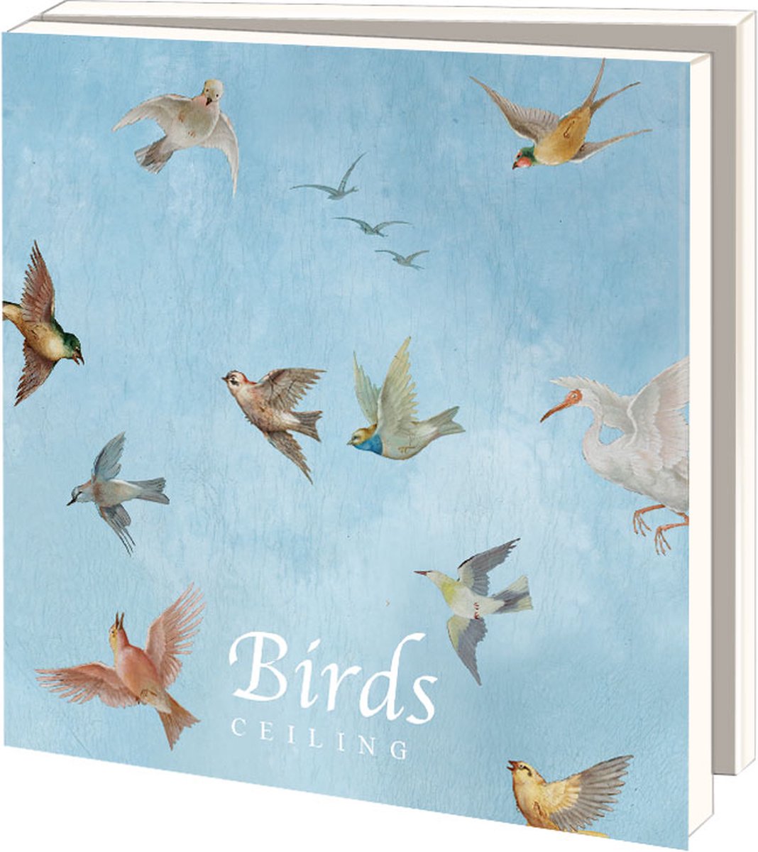 Bekking & Blitz - Wenskaartenmapje - Set wenskaarten - Kunstkaarten - Museumkaarten -... | bol.com