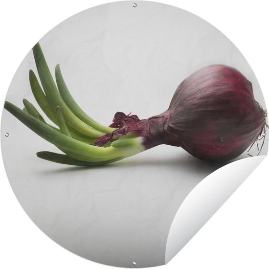 Tuincirkel Groene stengel ontspringt uit de bloeiende rode ui - 60x60 ...