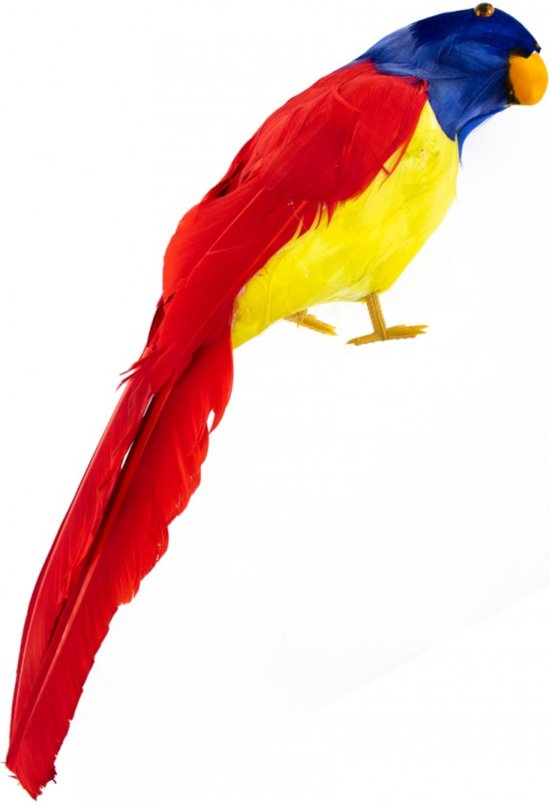 Papegaai - Veren - Rood, geel, blauw - 30cm | bol.com