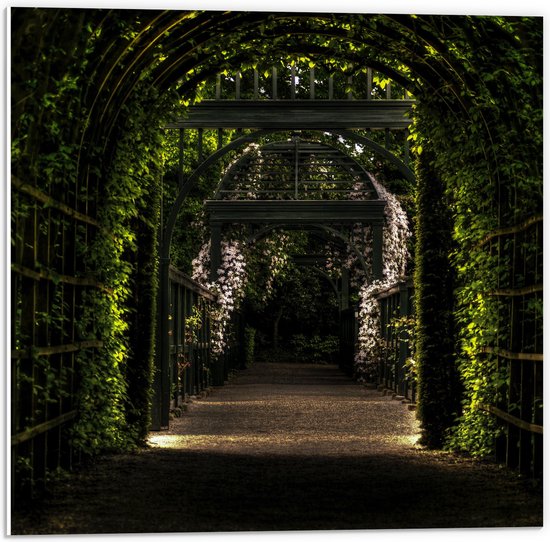 PVC Schuimplaat - Pad - Boog - Bloemen - Planten - Bomen - 50x50 cm ...