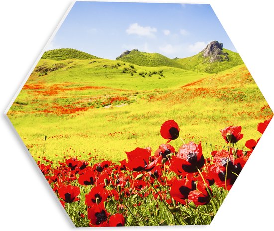 PVC Schuimplaat Hexagon - Groep Rode Bloemen in Heuvellandschap - 30x26 ...
