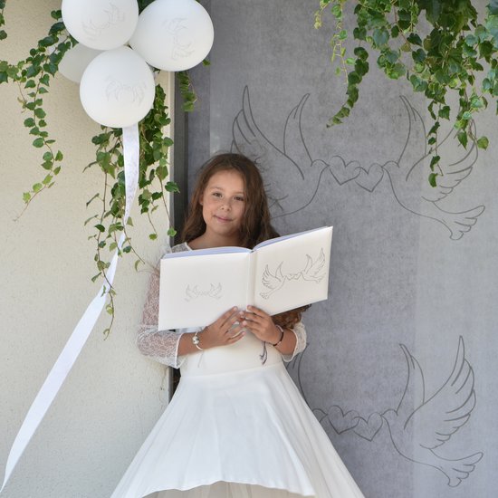 Gastenboek/receptieboek met luxe pen in houder - Bruiloft - zilver/wit ...