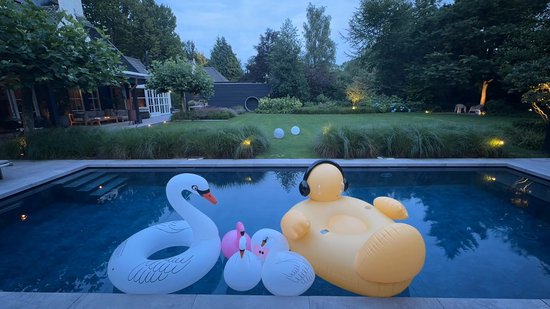 InflaGlow Solar Opblaas Eend met LED verlichting - Werkt op Zonne ...
