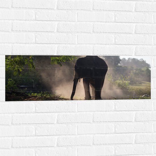 Muursticker - Grote Olifant in de Schaduw van de Bomen - 90x30 cm Foto ...