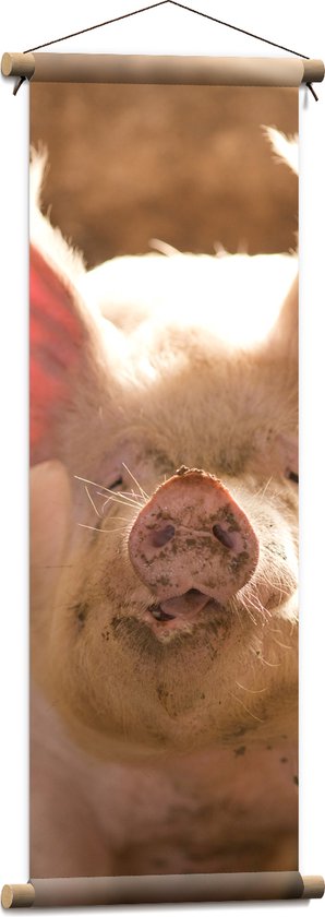 Textielposter - Mollig Varkentje aan het Lachen - 30x90 cm Foto op Textiel | bol