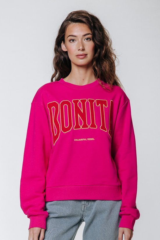 Colourful Rebel Bonita Patch Relaxed Sweat - L | bol.com