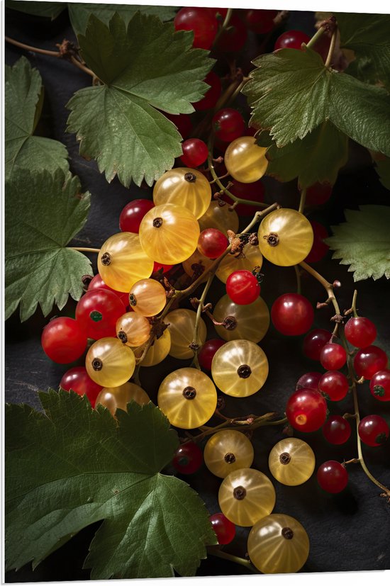 PVC Schuimplaat - Rode en Gele Bessen aan Struik Vol Bladeren - 70x105 ...