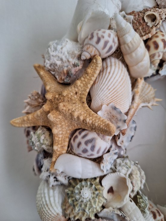 DIY Hobbypakket - Schelpenkrans maken met natuurlijke materialen | bol