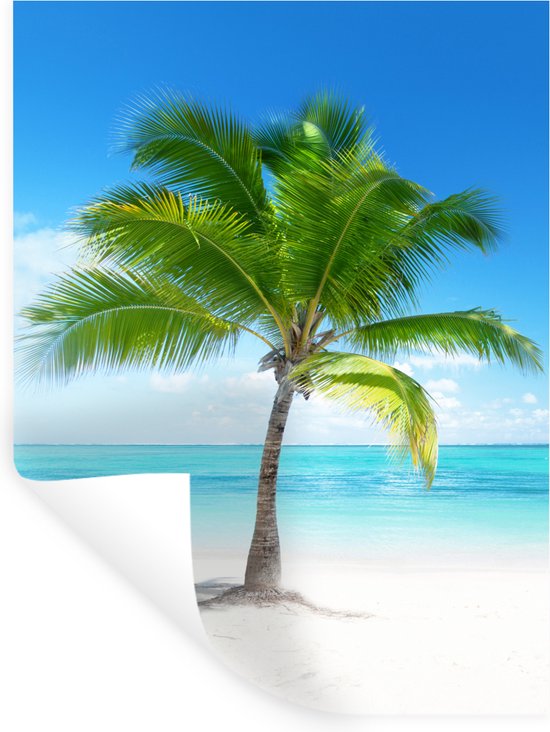 Muurstickers - Sticker Folie - Palmboom - Strand - Zee - Zomer - 90x120 ...