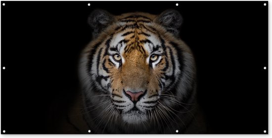 Schuttingposter Tijger - Wilde dieren - Portret - Zwart - Dieren - 200x100 cm - Tuindoek | bol