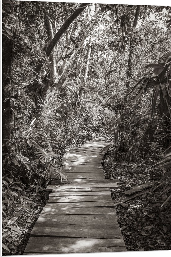 PVC Schuimplaat- Vlonder door het Bos (Zwart-wit) - 70x105 cm Foto op ...