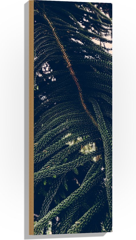 Hout - Bomen - Planten - Bladeren - Hout - Natuur - 30x90 cm - 9 mm dik ...
