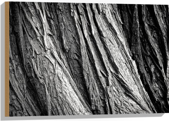 Hout - Boom - Boomstam - Hout - 75x50 cm - 9 mm dik - Foto op Hout (Met ...