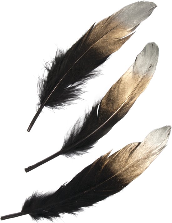 Zwarte Veren met goud zilveren punt - 15-20cm - 3 stuks - Decoratie ...