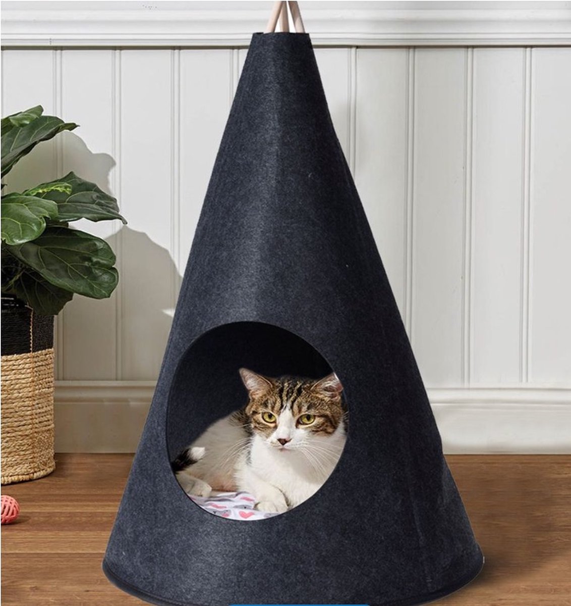 Katten tipitent + kattenkussen + kattentas | bol.com