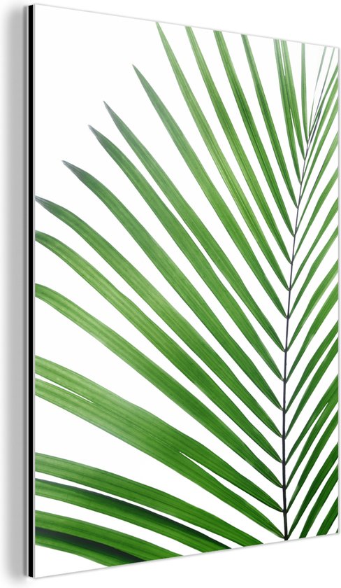 Plant - Groen - Natuur - Wit | bol.com