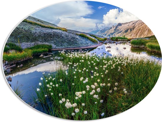 PVC Schuimplaat Ovaal - Bergen - Water - Planten - Bloemen - Wolken ...