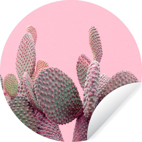WallCircle - Muurstickers - Behangcirkel - Cactus - Planten - Zomer - 120x120 cm -... | bol.com