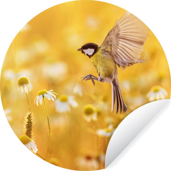 WallCircle - Muurstickers - Behangcirkel - Vogel - Koolmees - Bloemen - Margriet -... | bol