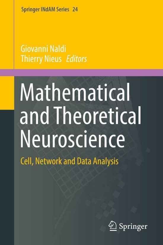 Springer INdAM Series 24 - Mathematical and Theoretical Neuroscience (ebook) |... | bol
