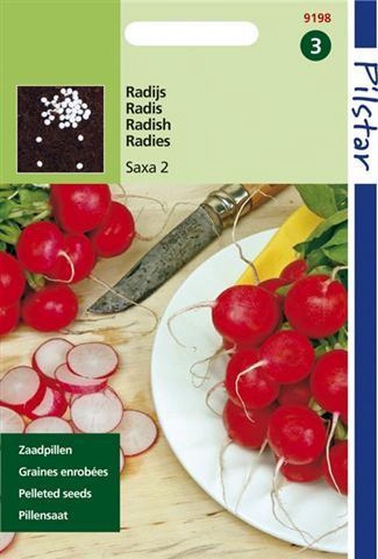 Pilstar Radijs Saxa | bol