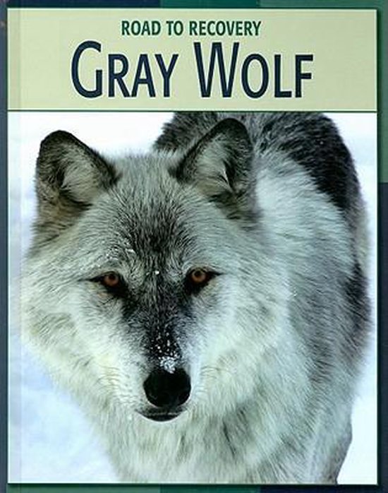 Gray Wolf, Barbara Somervill | 9781602790308 | Boeken | bol.com