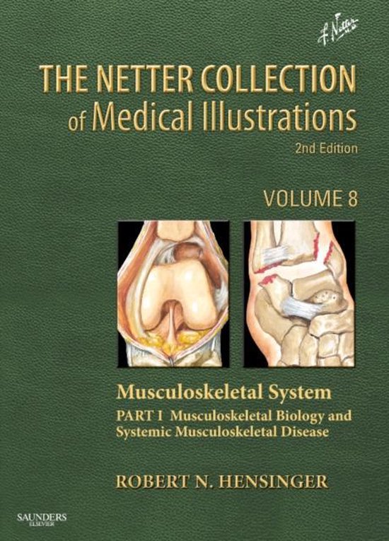 Netter Collection Of Medical Illustrations: Musculoskeletal ...
