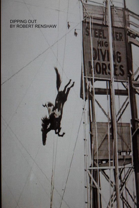 Dipping Out (ebook), Robert Renshaw | 9781458107657 | Boeken | bol