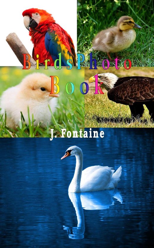 Birds Photo Book (ebook), Jamie Fontaine | 1230001752083 | Boeken | bol